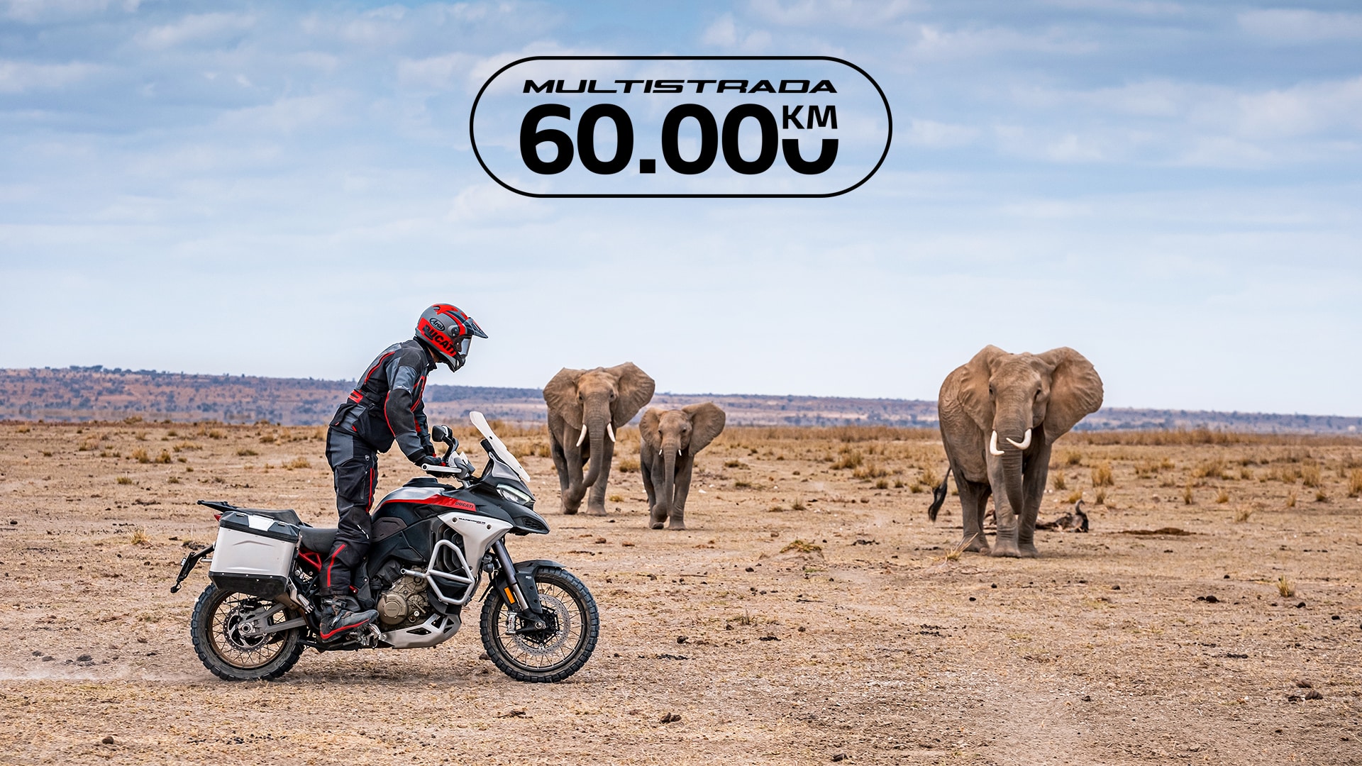 Projet de voyage : Ducati vous prête une Multistrada V4 Rally ! - Trail ...